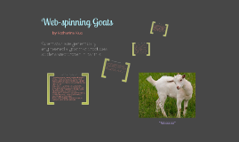 Web-spinning goats by Katherine Kuo on Prezi