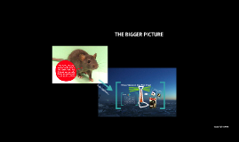 Three Skeleton Key Plot Chart by Carter Stengel on Prezi