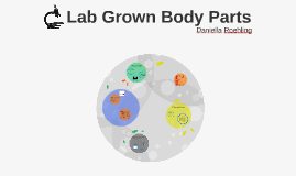 Lab Grown Body Parts by Dan R on Prezi