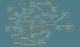 Concept Map 12 by Kat Ryan on Prezi