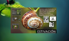 La estivación es un periodo de inactividad que forma parte d by ...