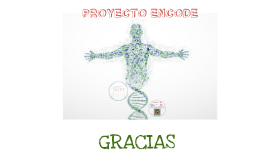 HISTONAS Y NUCLEOSOMAS by Jorge Pag on Prezi