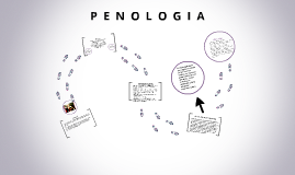 P E N O L O G I A by simon lopez on Prezi