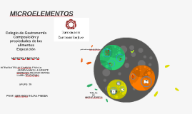 MICROELEMENTOS by mario telesforo on Prezi