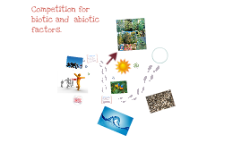 Competition for Biotic and Abiotic Factors by Matthew Edge on Prezi