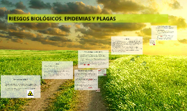 RIESGOS BIOLÓGICOS. EPIDEMIAS Y PLAGAS by María Arraga on Prezi