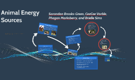 Animal Energy Sources by CeeCee Varble on Prezi