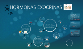 HORMONAS EXOCRINAS by Laura Adriana on Prezi