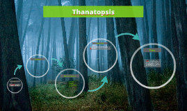 Thanatopsis by Corrie Luce on Prezi