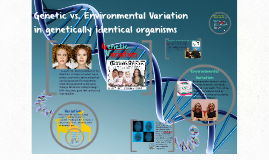 Genetic vs. Environmental Variation by Kendra Lee on Prezi
