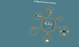 17 El ADN Repetitivo y clases de ADN satélite, Mutaciones y by Elvis ...