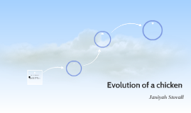 Evolution of a chicken by janiyah stovall on Prezi