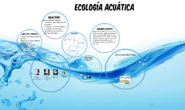 Ecología acuática by Lucía Petraccia on Prezi