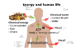 Timeline of Plate Tectonic Theory by Laura Fischer Walter on Prezi