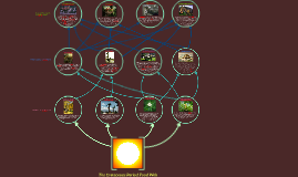 Dinosaur food chain by Carlie Johnson on Prezi