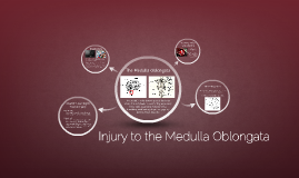 Injury to the Medulla Oblongata by Susan Teft on Prezi
