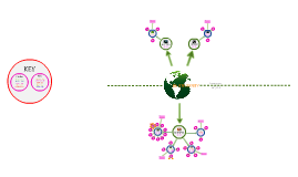 Biodiversity Mind Map by Justin Lim on Prezi