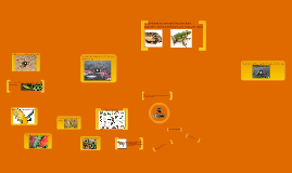 Wild vs. Tame Animals by Sarah Faszewski on Prezi