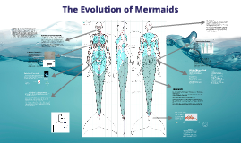 Evolution of Mermaids by Group . on Prezi