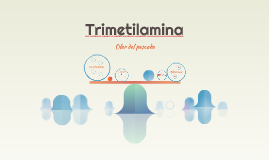 Trimetilamina by María Sarmiento on Prezi