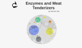 Enzymes and Meat Tenderizers by Hannah Vida on Prezi