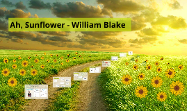 Ah, Sunflower - William Blake by Josh Patel on Prezi