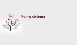 Nervų sistema by Rūta Nauj on Prezi