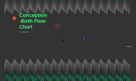 Conception-Birth Flow Chart by on Prezi