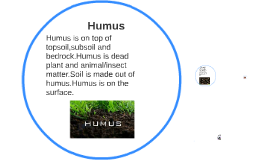 THE AWESOME FACTS ABOUT SUBSOIL,TOPSOIL,BEDROCK AND HUMUS by bob foxx ...