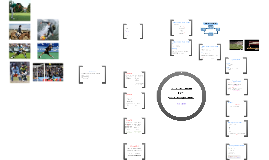 IGCSE Physical Education 1.1. Skill by Rob Myatt on Prezi