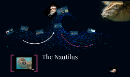 Biology Family Tree by Brittany Whyte on Prezi