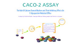 Caco-2 Assay by Patricia Pharm on Prezi