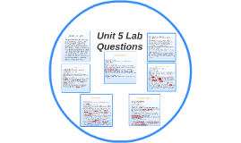 Unit 5 Lab Questions by brayden stoops on Prezi
