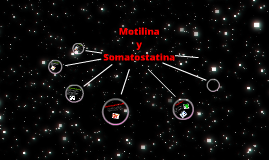 Motilina Y Somatostatina!!!! by Sergio Beltran on Prezi