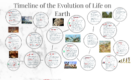 Timeline of the Evolution of Life on Earth by Tiana Anica Bebek on Prezi