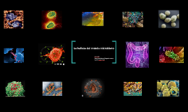 La belleza de los microbios by Ignacio Lopez-Goñi on Prezi