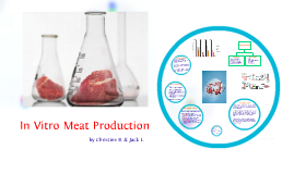 In Vitro Meat Production by Christine Bui on Prezi