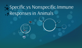 Specific versus Nonspecific Immune Responses in Animals by Lara Scott ...