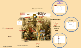 Avoiding Relapse Drift by karen alcantara on Prezi