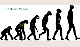 Evolution Mensch by Sebastian Sch on Prezi