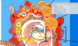 ESCALA PARA LA VALORACIÓN DEL ESTADO DE CONCIENCIA by on Prezi