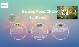 Swamp Food Chain by Steven Huang on Prezi