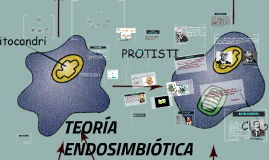 TEORÍA ENDOSIMBIÓTICA by Alejandra Buitrago on Prezi