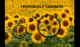 Tropismo y Taxismo by belen gallardo on Prezi