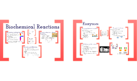 1.3: Biochemical Reactions by Ms. Klodt on Prezi