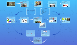 Koevolution und Parasiten- by on Prezi