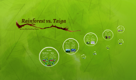 Rainforest vs. Taiga by Evan Albert on Prezi