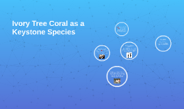 Ivory Tree Coral as a Keystone Species by H.P. VEE on Prezi