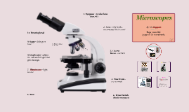 Microscopes - 7th Grade by William Begoyan on Prezi