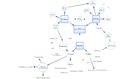 US Health Care System Concept Map by Andrew Steele on Prezi